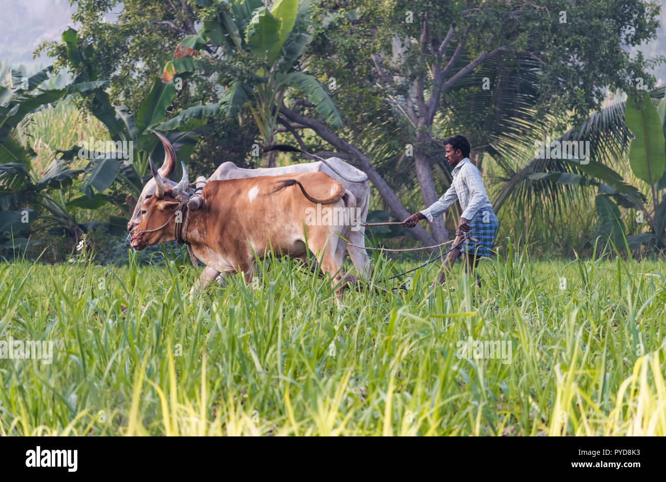 Farmers feild hi-res stock photography and images - Alamy