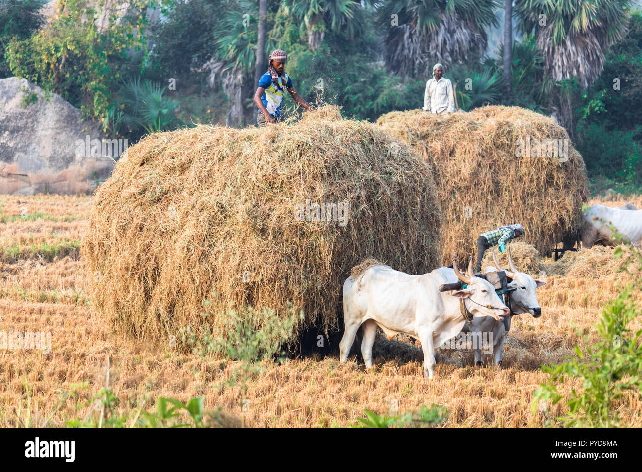 Farmers feild hi-res stock photography and images - Alamy