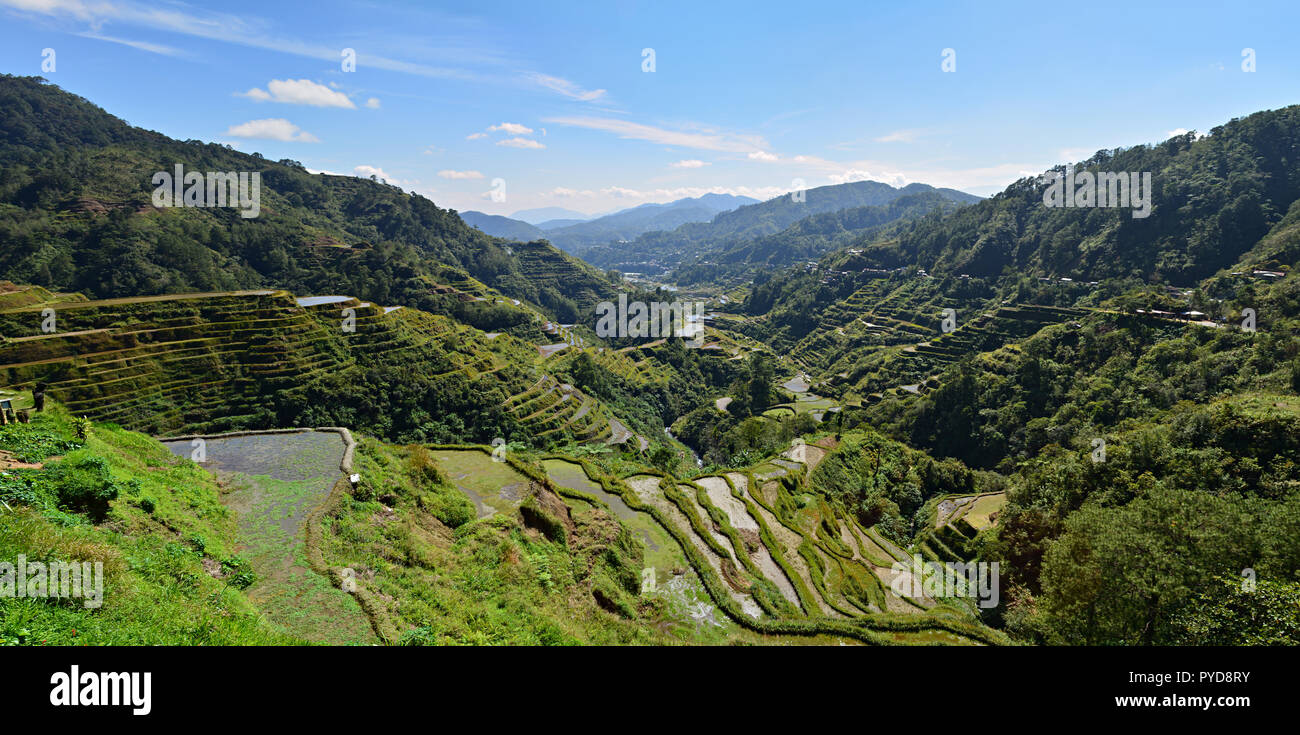 Banaue rice terraces banaue ifugao hi-res stock photography and images ...
