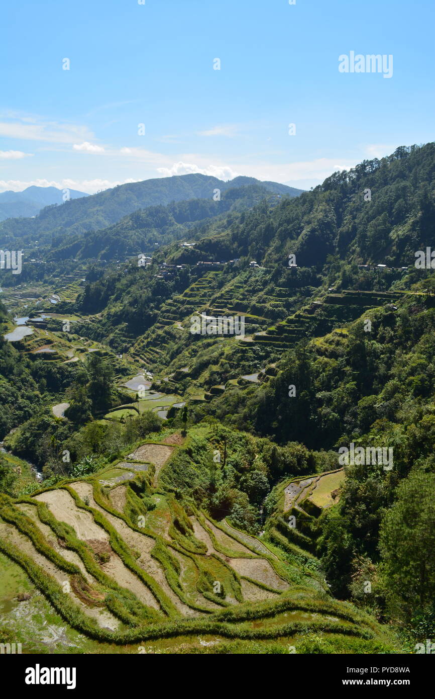 Banaue ifugao unesco rice terraces hi-res stock photography and images ...