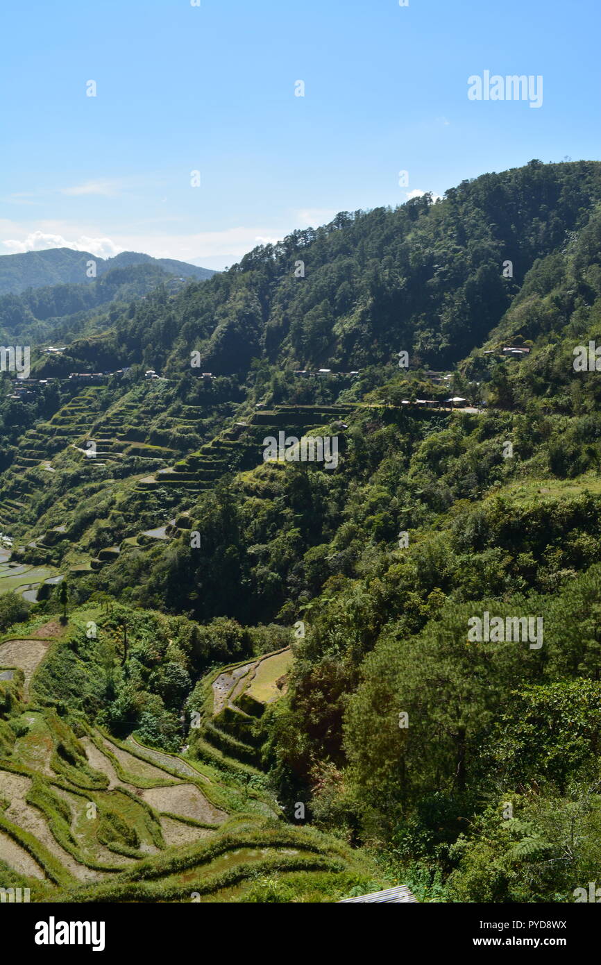 Banaue ifugao unesco rice terraces hi-res stock photography and images ...