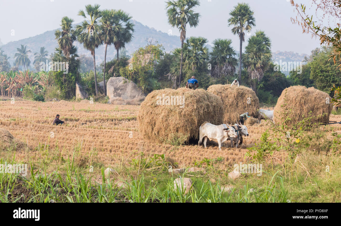 Farmers feild hi-res stock photography and images - Alamy