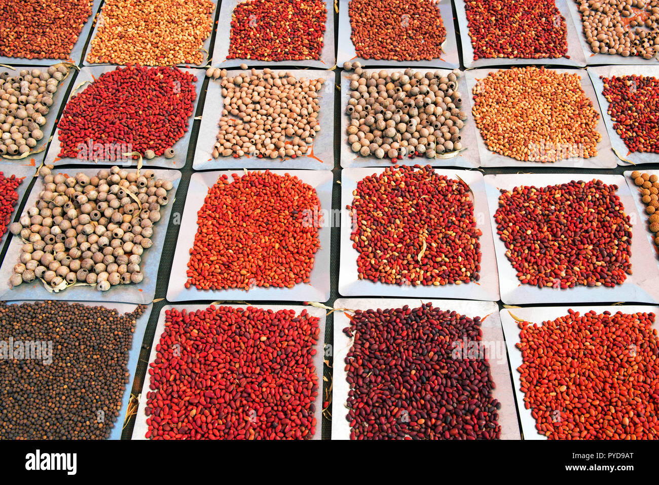 Ininti seeds hi-res stock photography and images - Alamy