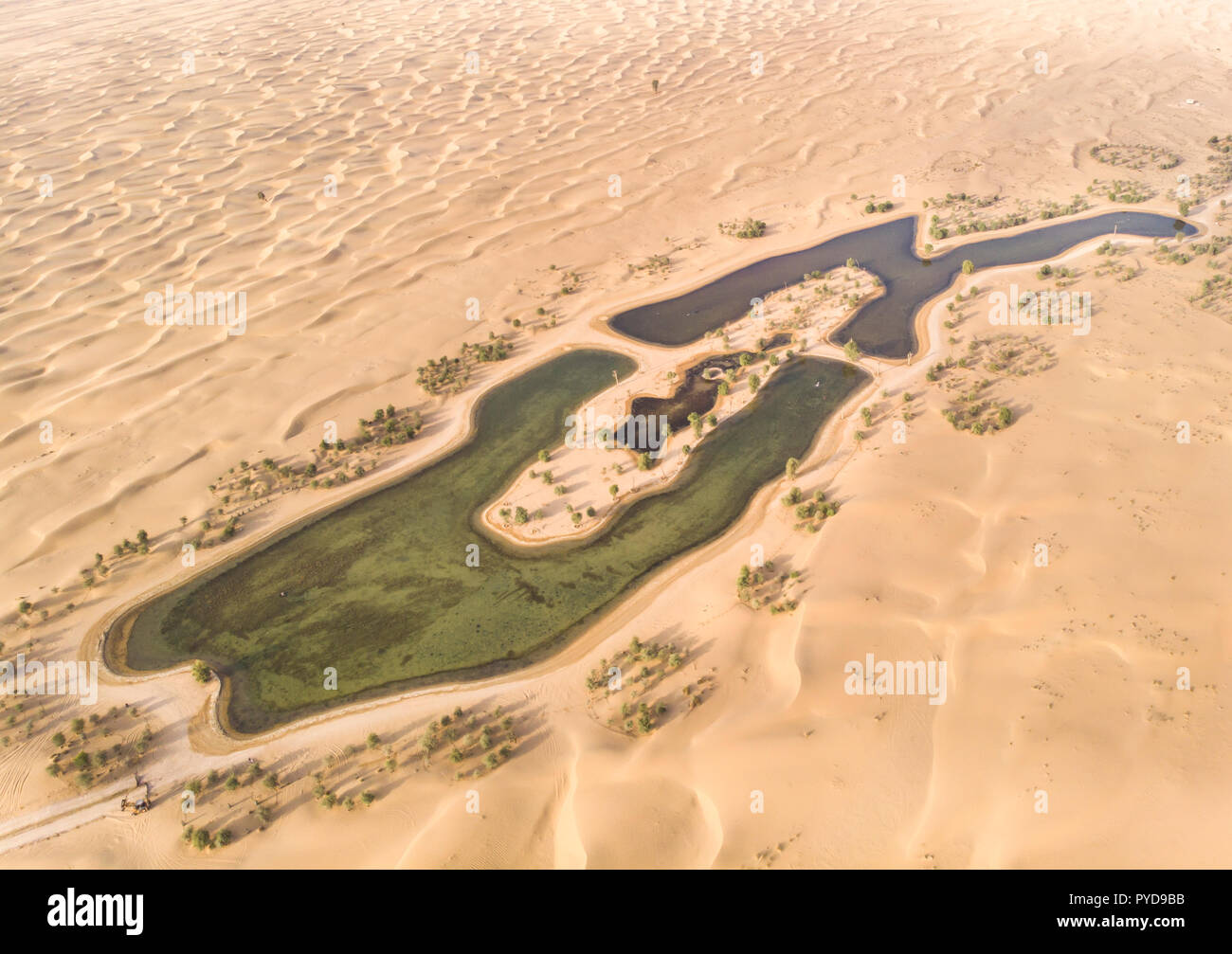 aerial view of Al Qudra Lakes in a desert near Dubai Stock Photo - Alamy
