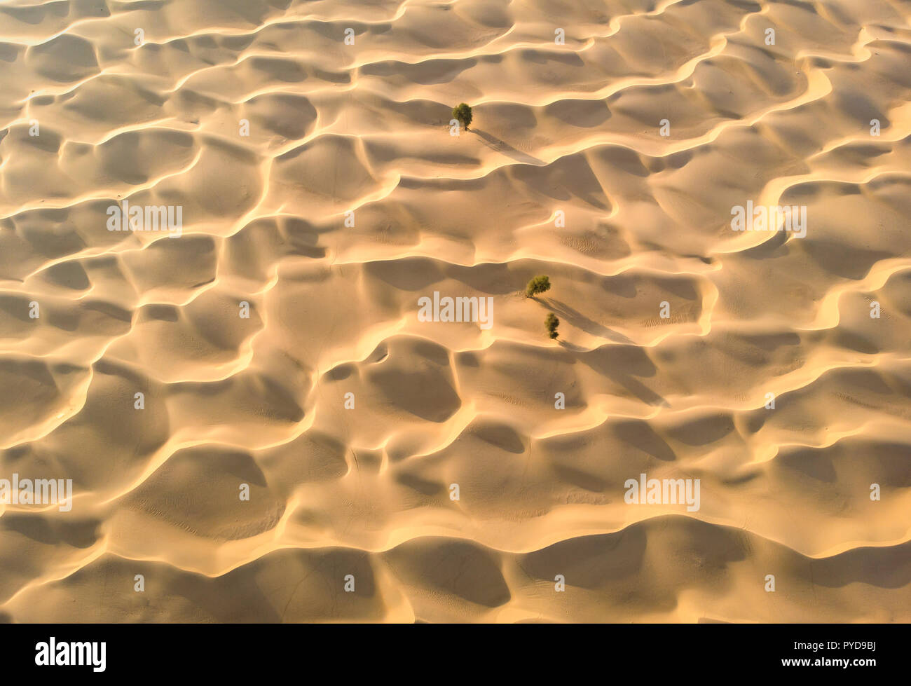 aerial view of a desert surface near Dubai Stock Photo - Alamy