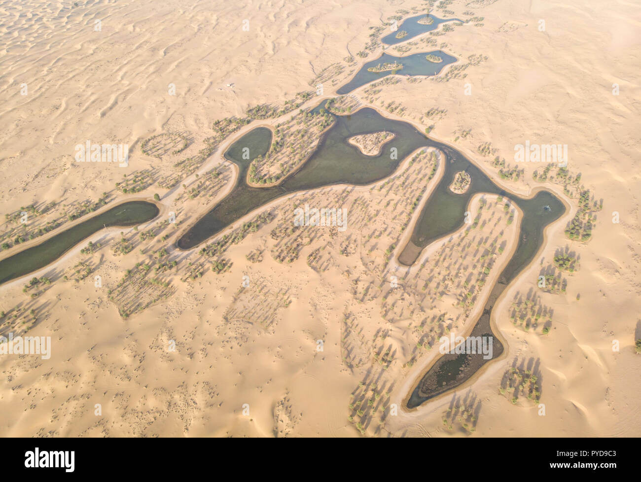 Al qudra lakes al qudra lakes hi-res stock photography and images - Alamy