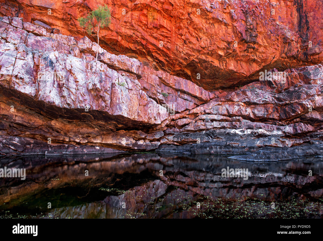 ORmiston Gorge, West MacDonnell National Park, Northern Territory ...