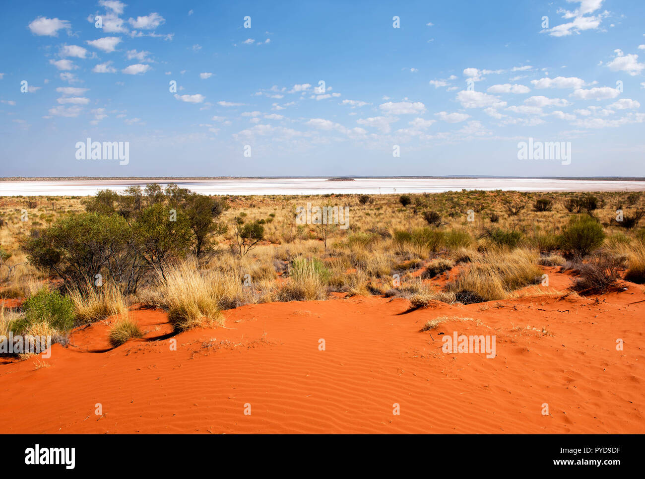Salt Lake, near Mount Conner Lookout, Petermann, Northern Territory ...