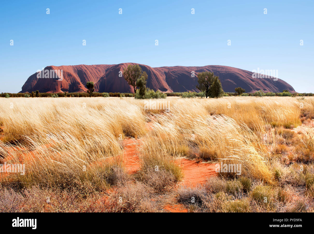 Uluru (Ayers Rock), Northern Territory, Australia Stock Photo - Alamy