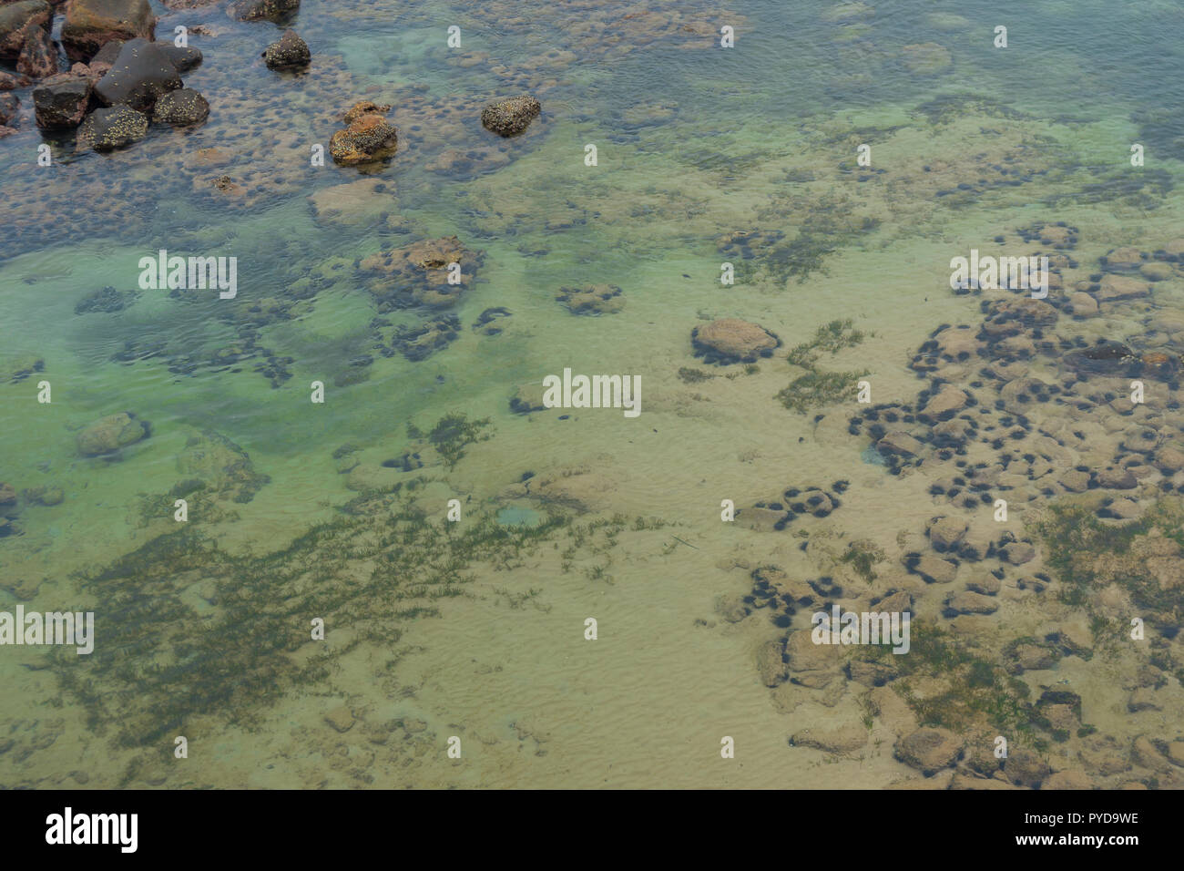 Surface of water in shallow water. Stones under the water Stock Photo ...