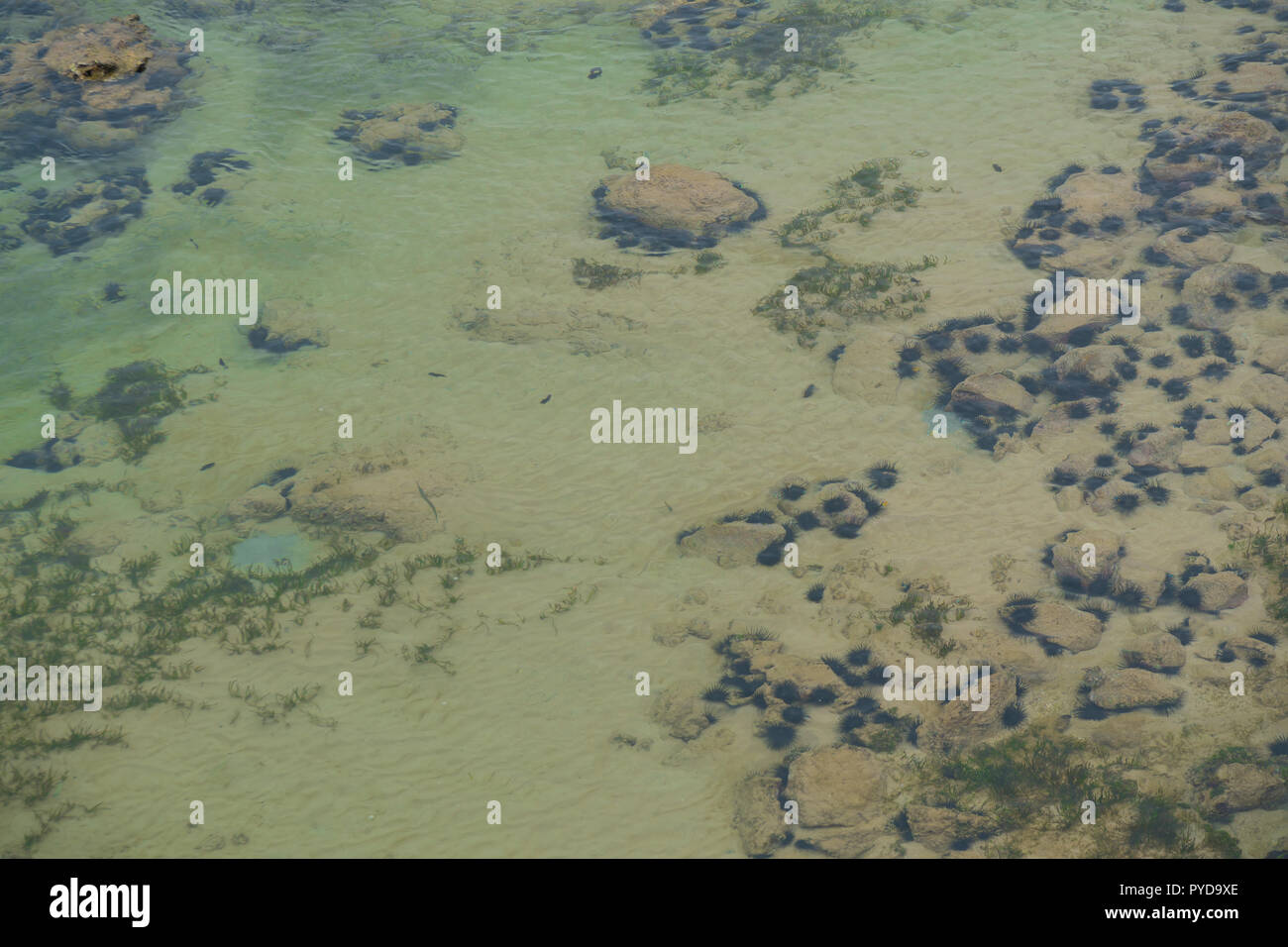 Surface of water in shallow water. Stones under the water Stock Photo ...