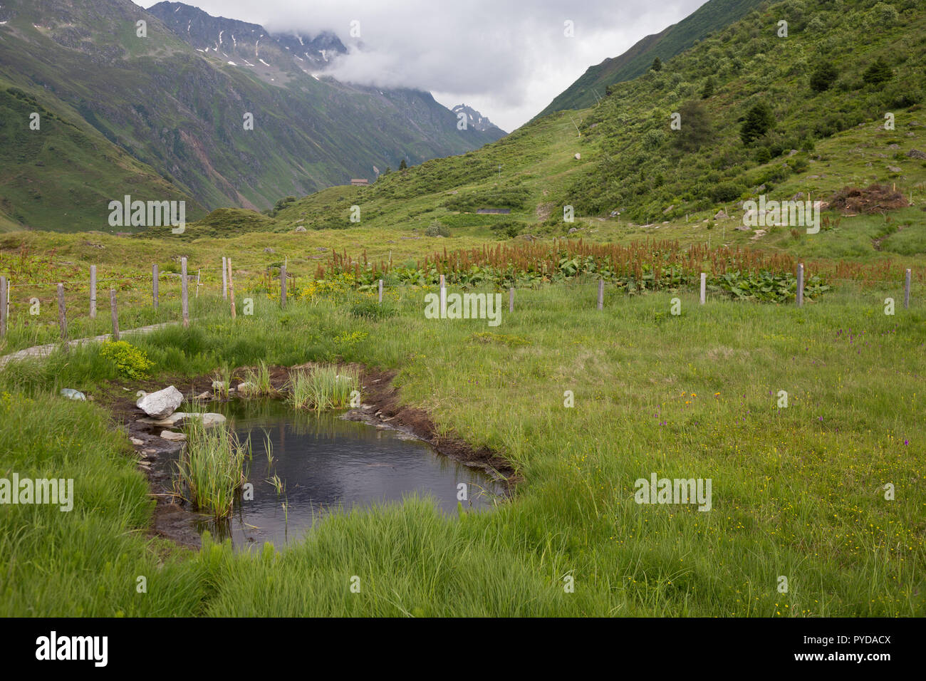 Adula massif hi-res stock photography and images - Alamy