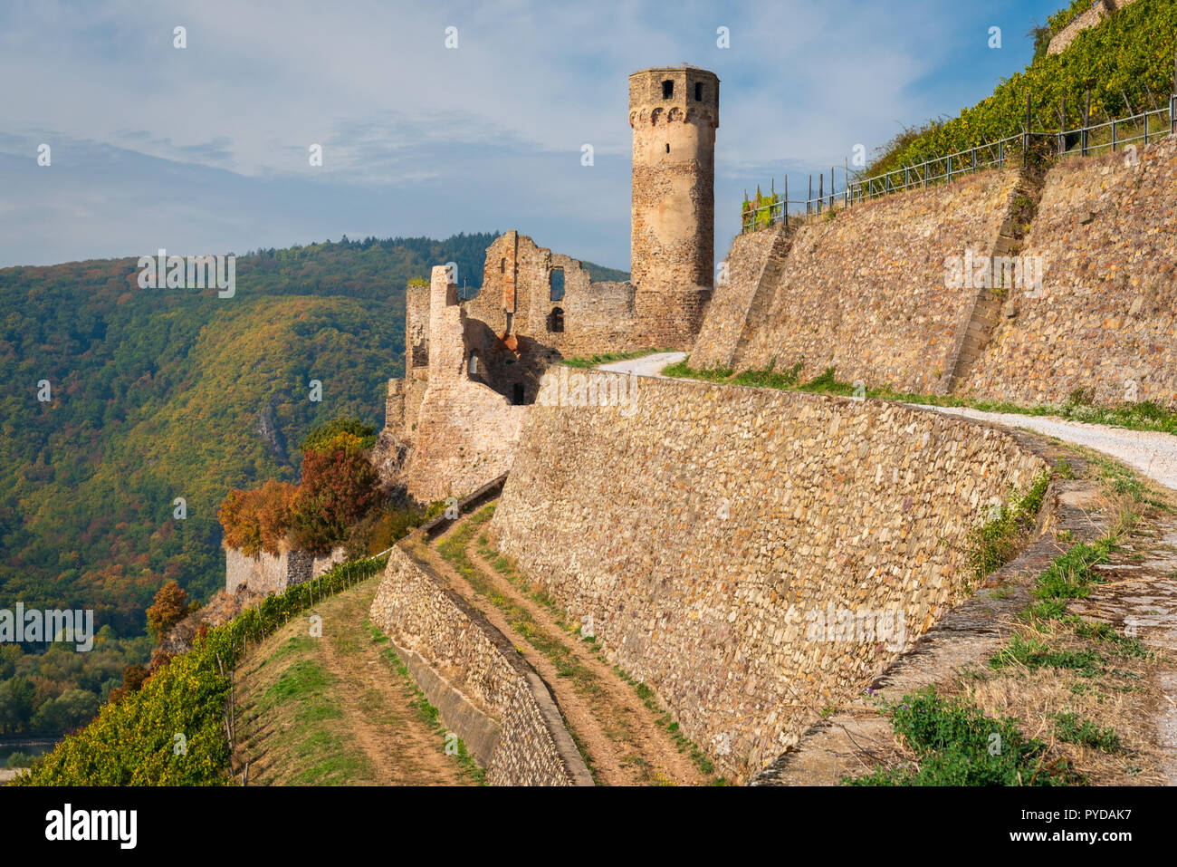 Ehrenfels castle hi-res stock photography and images - Alamy