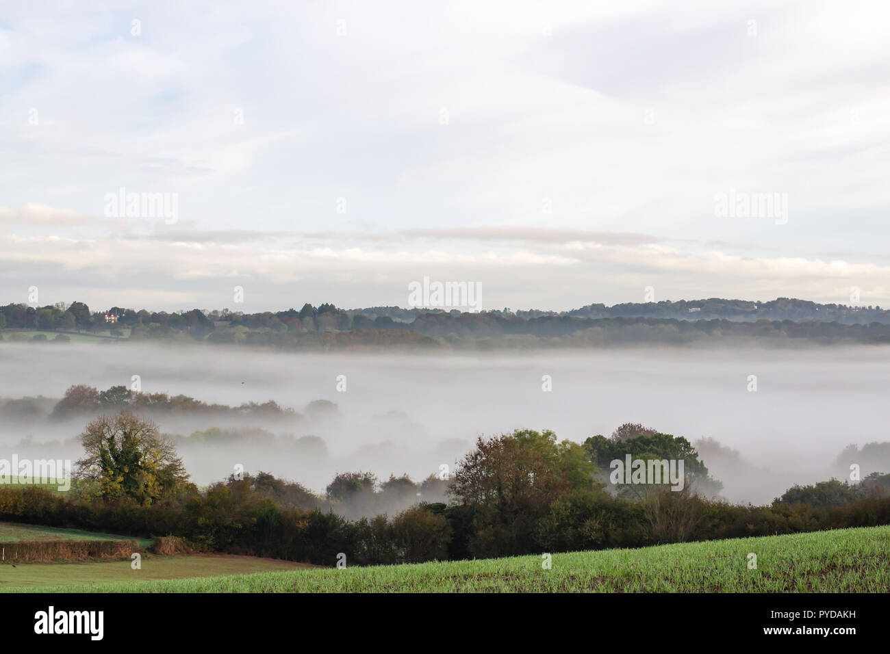 Lingering mist hi-res stock photography and images - Alamy