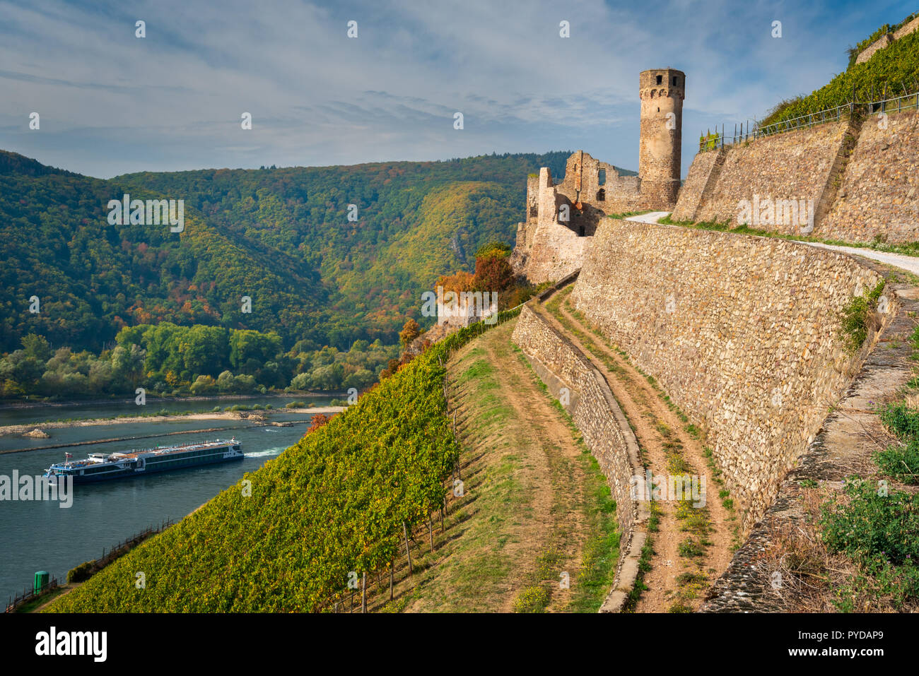 Burg Ehrenfels castle at Rüdesheim, Rhine Stock Photo - Alamy