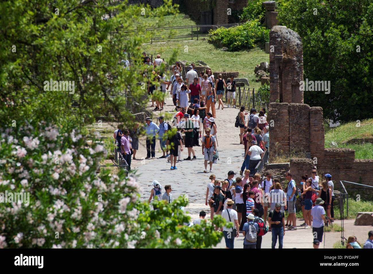 Walking on the Via Sacra (Sacred Road), the main street of ancient Rome ...