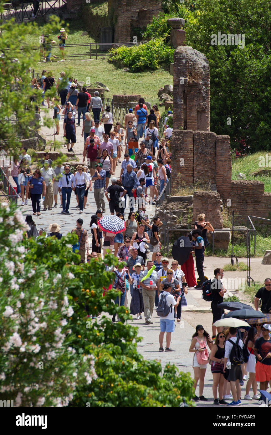 Sacred Way In Rome Via Sacra