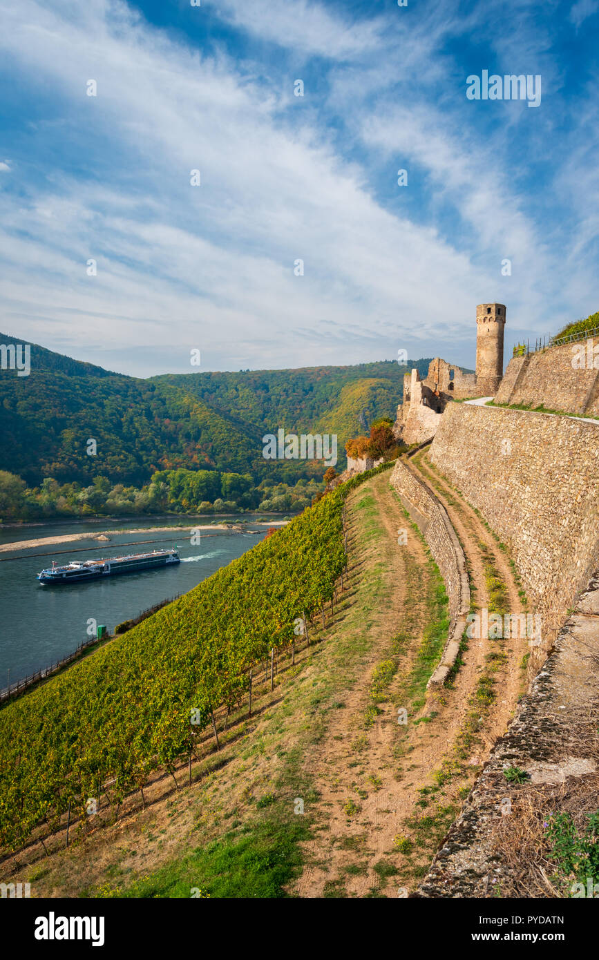 Burg Ehrenfels castle at Rüdesheim, Rhine Stock Photo - Alamy