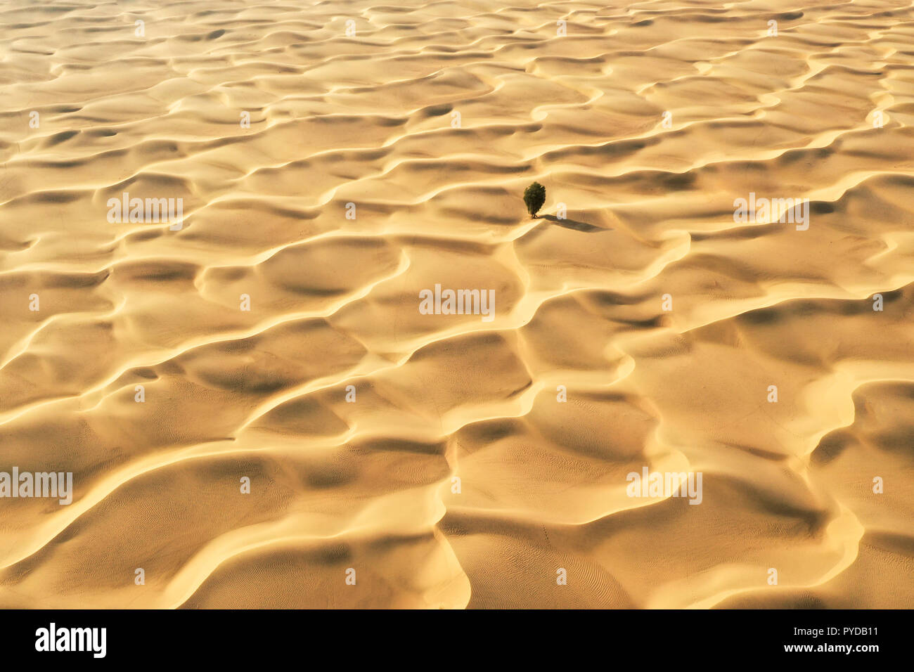 Aerial view of a beautiful golden desert. Dubai, UAE Stock Photo - Alamy