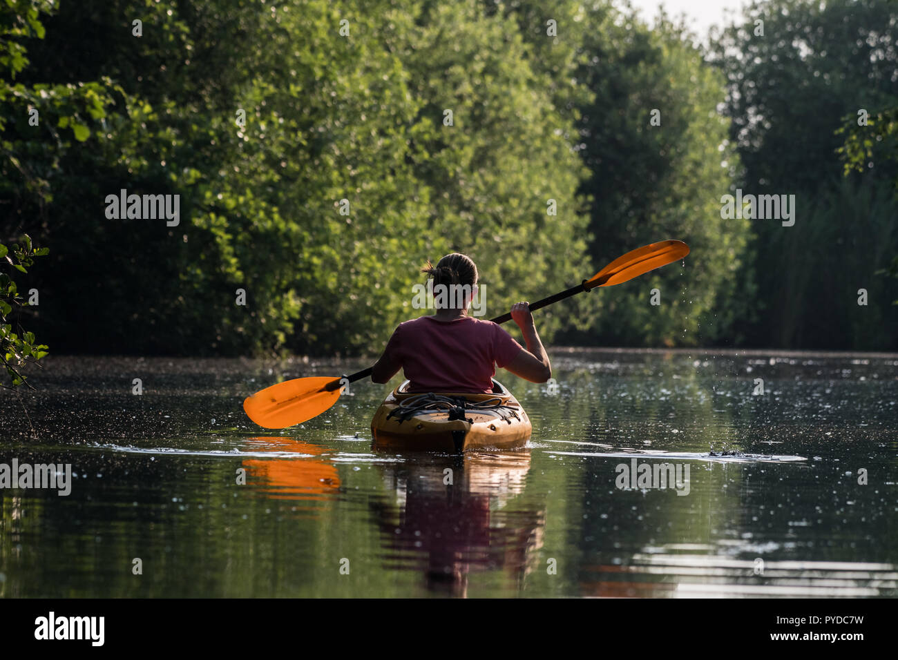 kayaking on an idyllic river in germany Stock Photo - Alamy