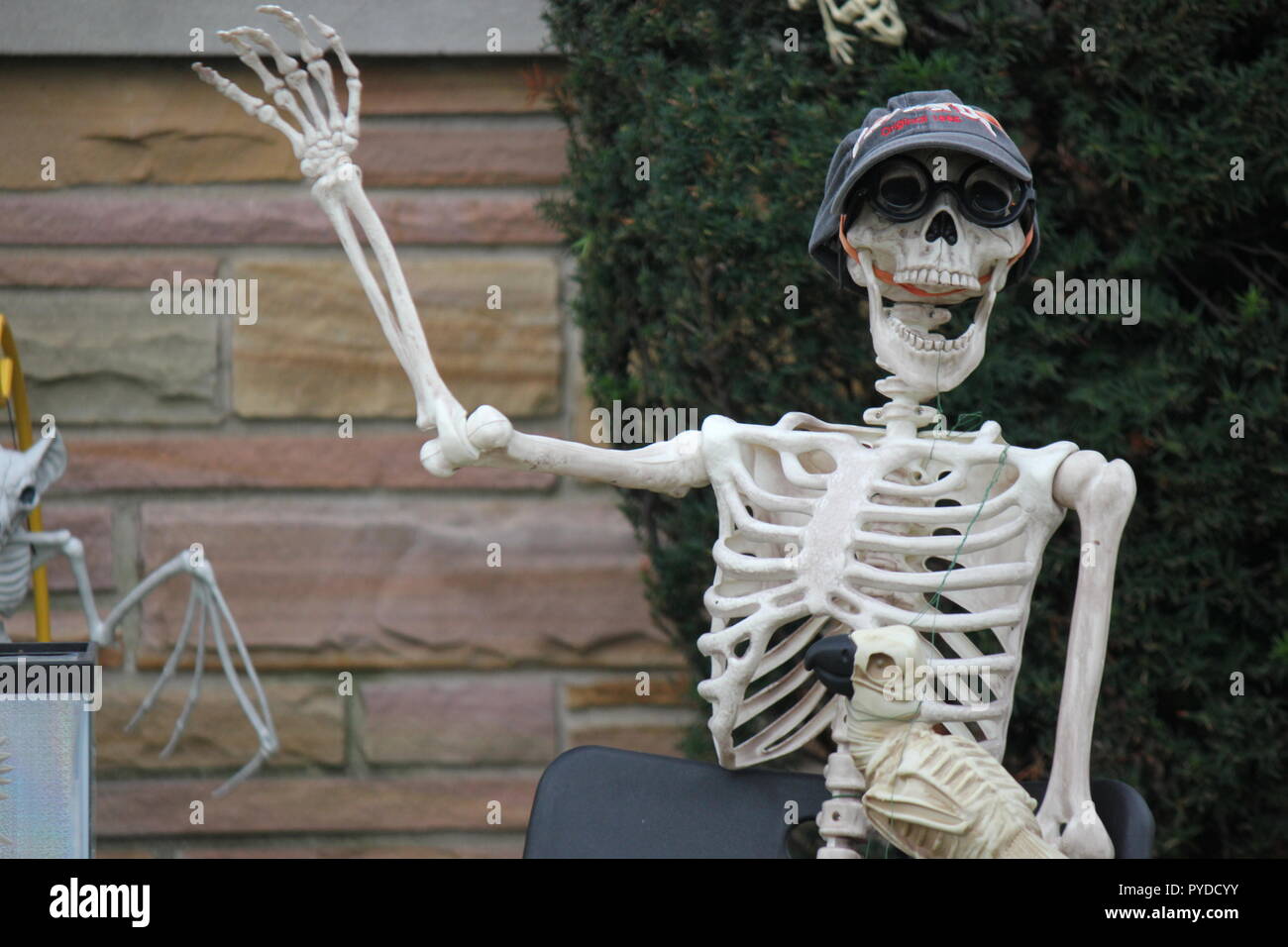 Smiling skeleton hi-res stock photography and images - Alamy