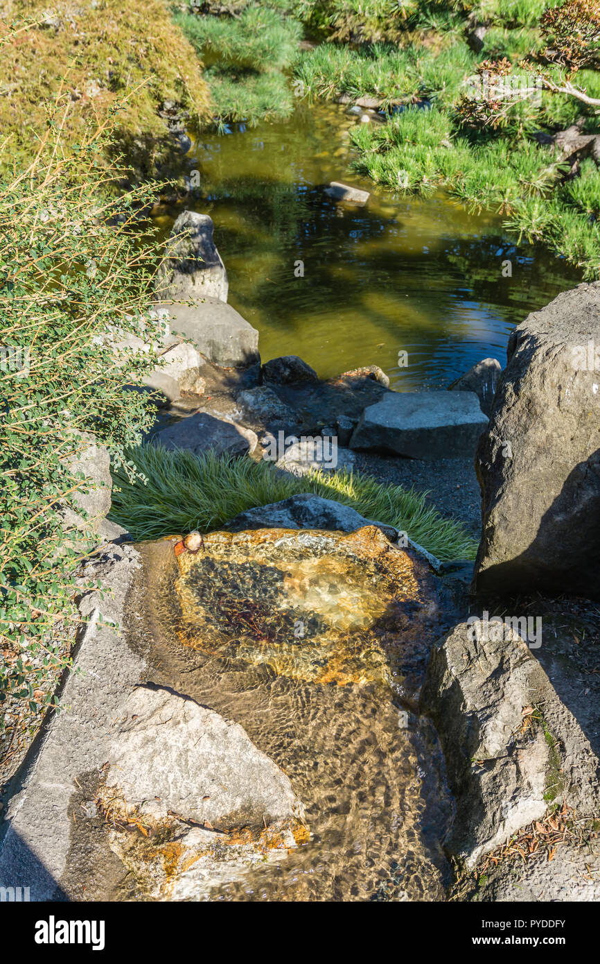 Water flows into a pond from above in Seatac, Washington Stock Photo ...