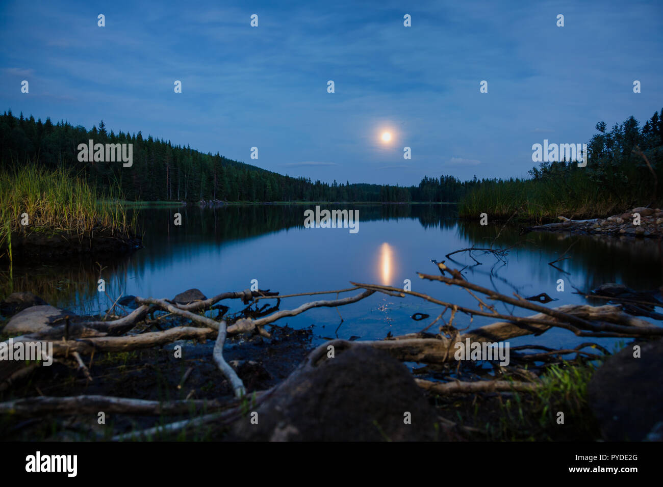 Moonlight lake shore night hi-res stock photography and images - Alamy