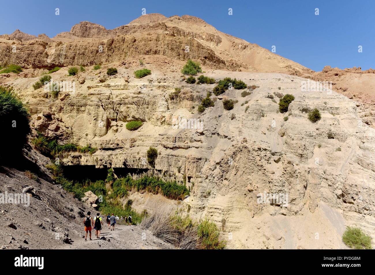 Rugged rock walls at the Wadi David in En Gedi (Israel), 28 September ...