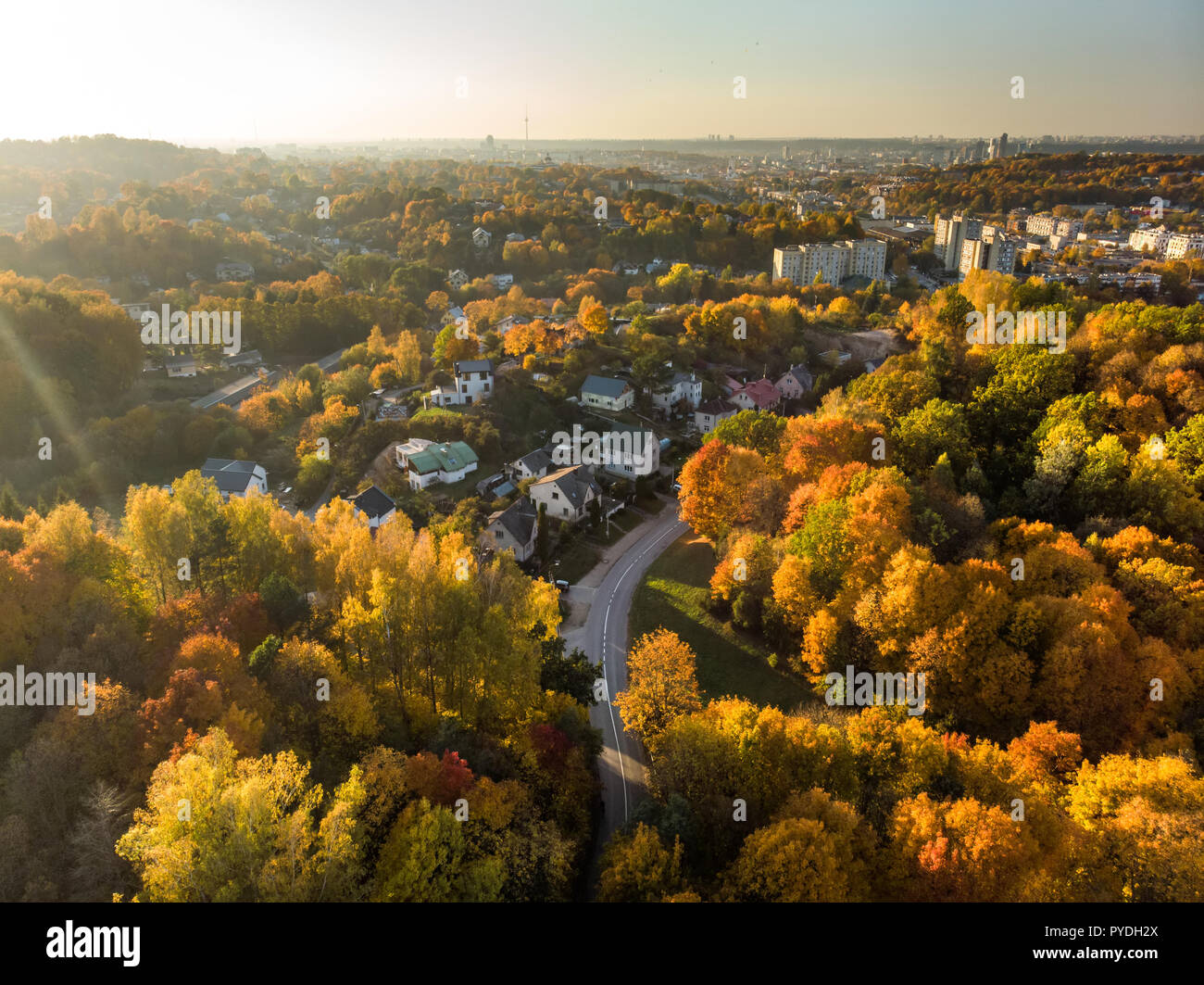 Aerial colorful forest scene in autumn with orange and yellow foliage ...