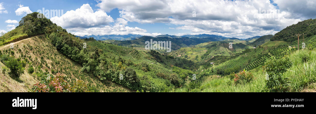 Beautiful panoramic landscape of our Cauca Valley, in Colombia Stock ...