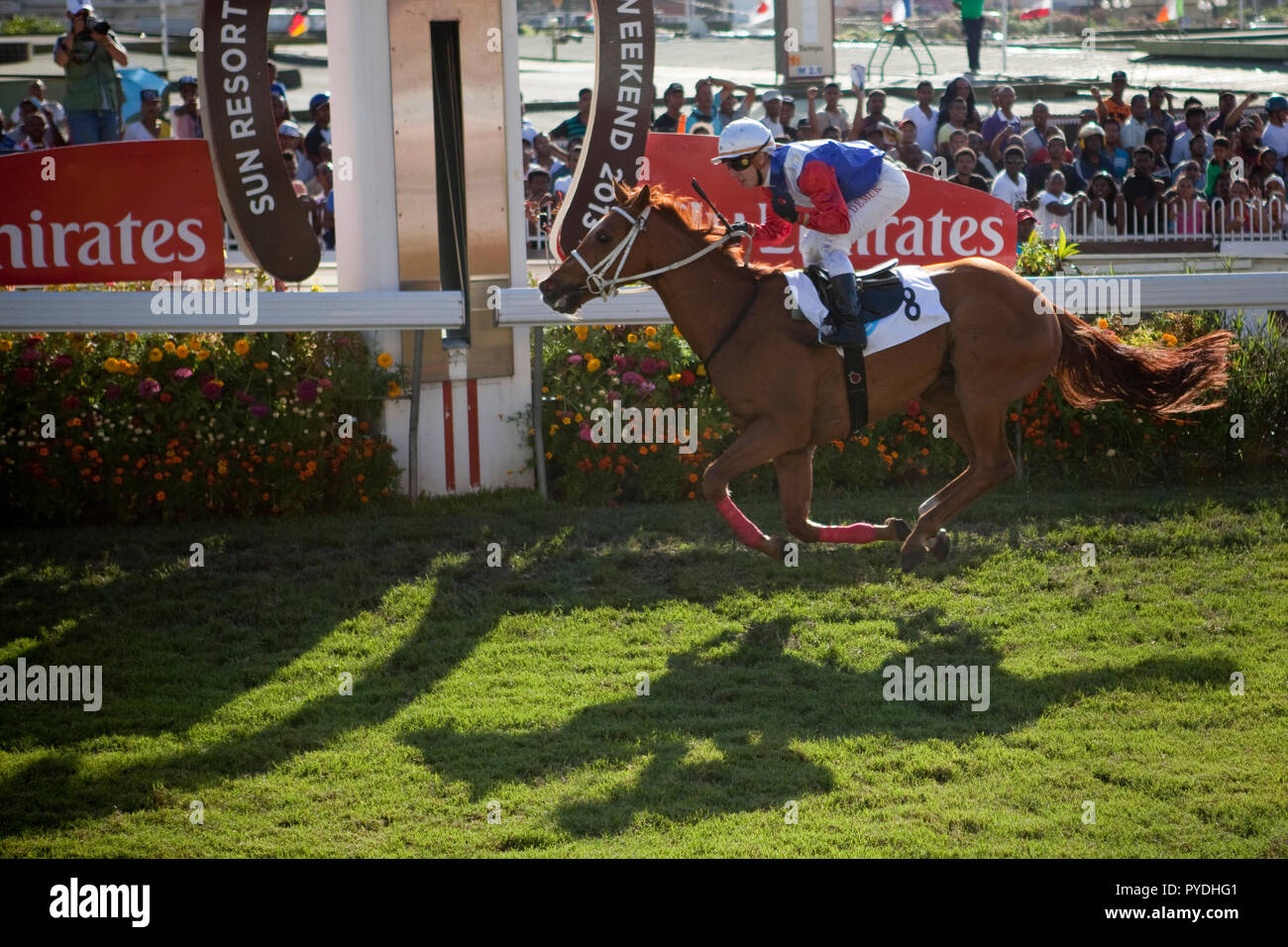 Lengths ahead at the finish a thoroughbred racehorse crosses the finish ...