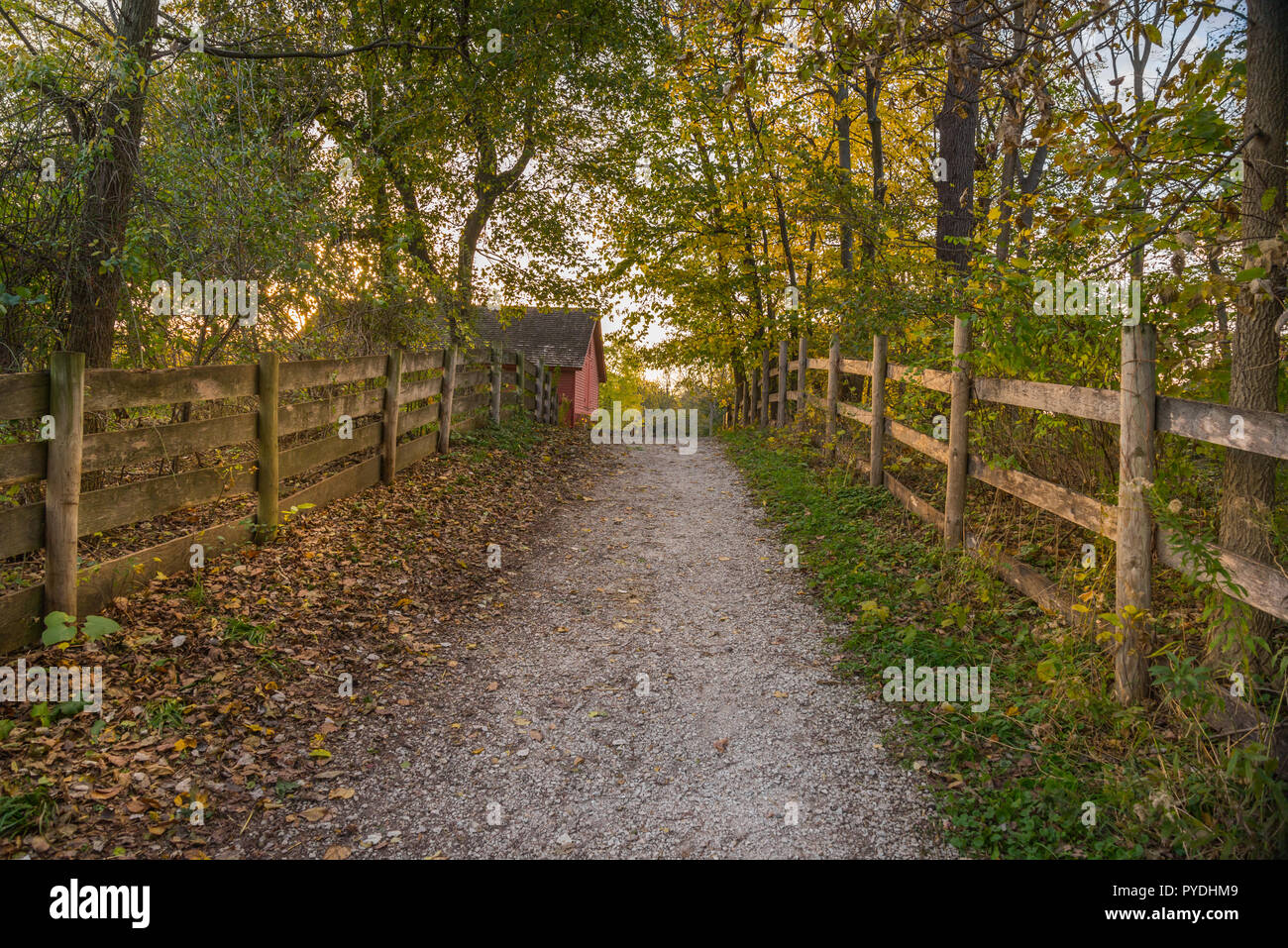 The forest trail hi-res stock photography and images - Alamy