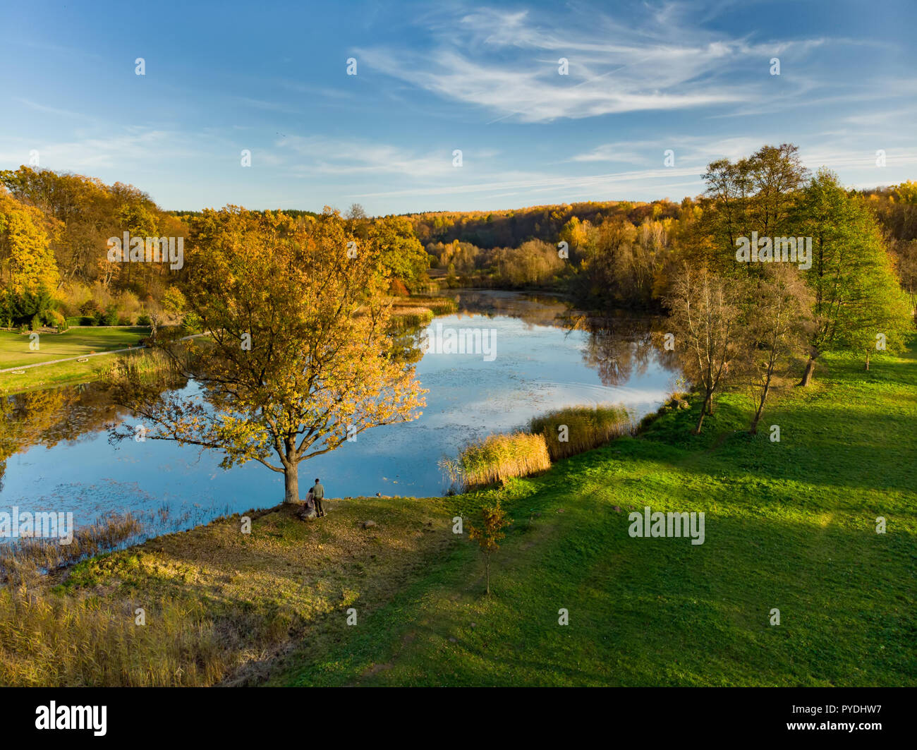 Aerial colorful forest scene in autumn with orange and yellow foliage ...