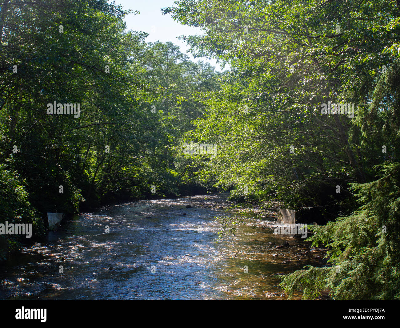 Ketchikan river hi-res stock photography and images - Alamy