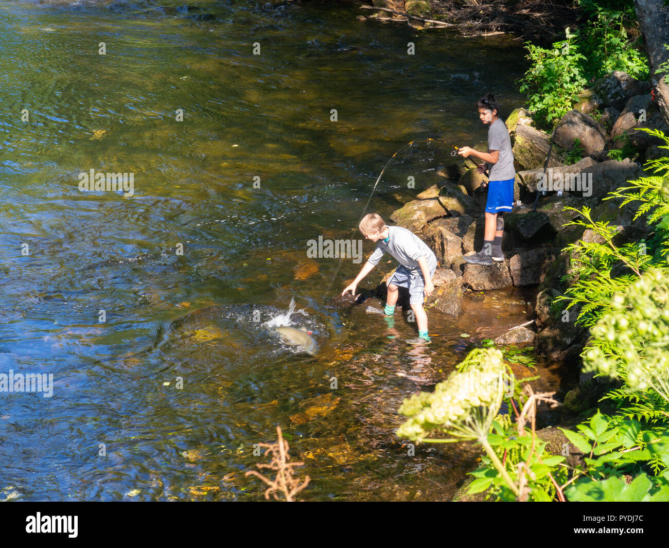 Boys Fishing In The River Stock Photo - Alamy