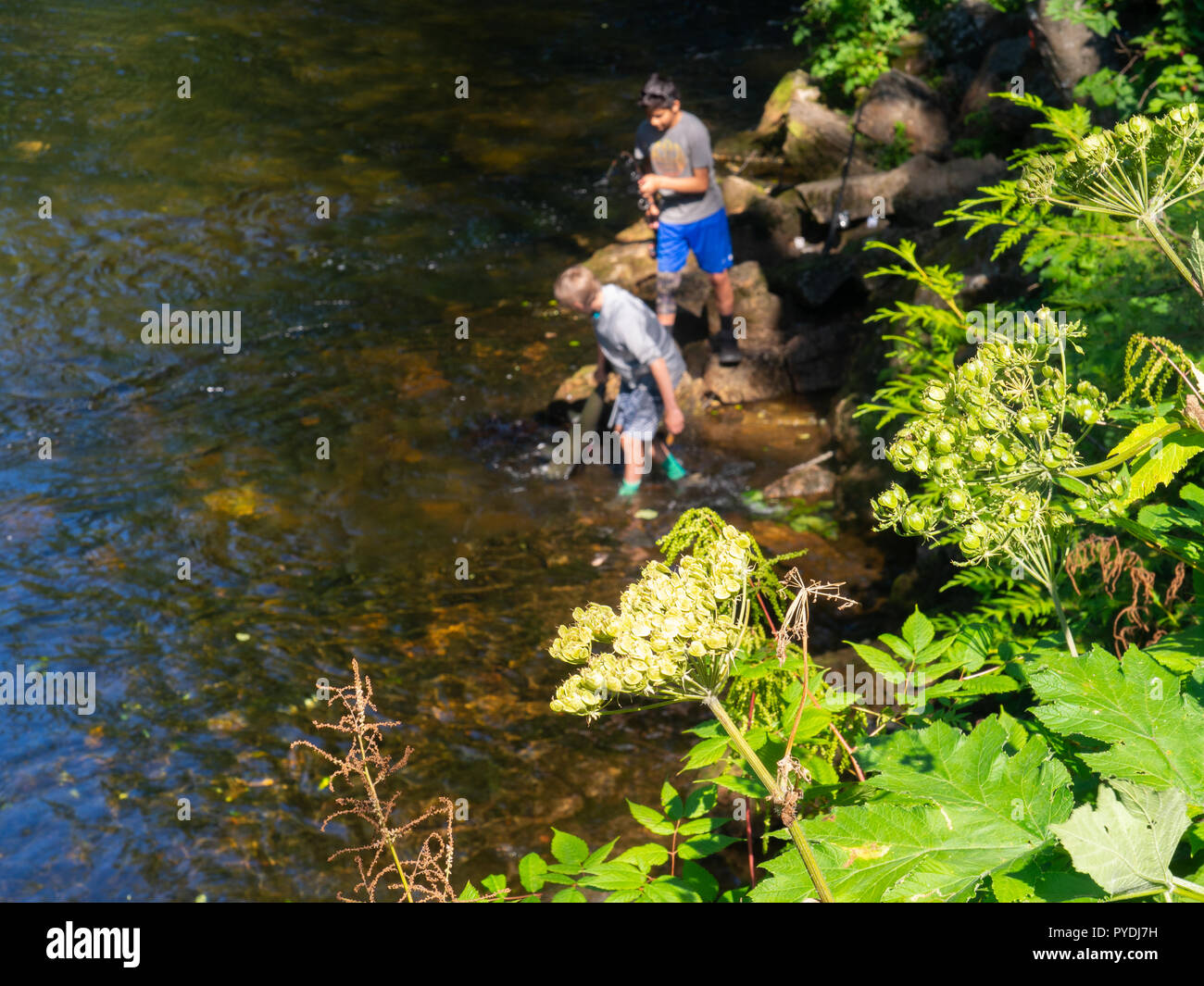 Boys fishing river hi-res stock photography and images - Alamy
