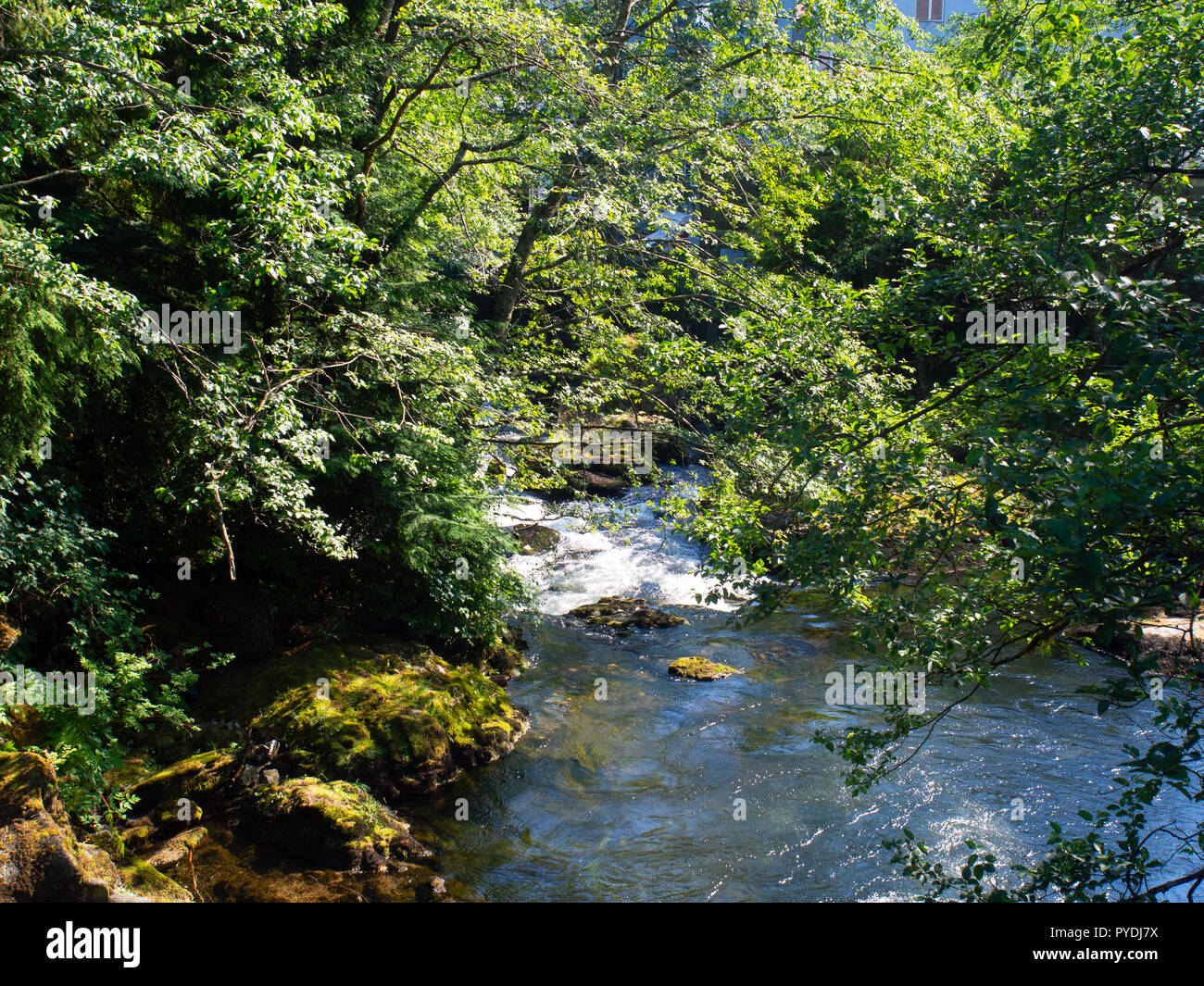 Ketchikan river hi-res stock photography and images - Alamy