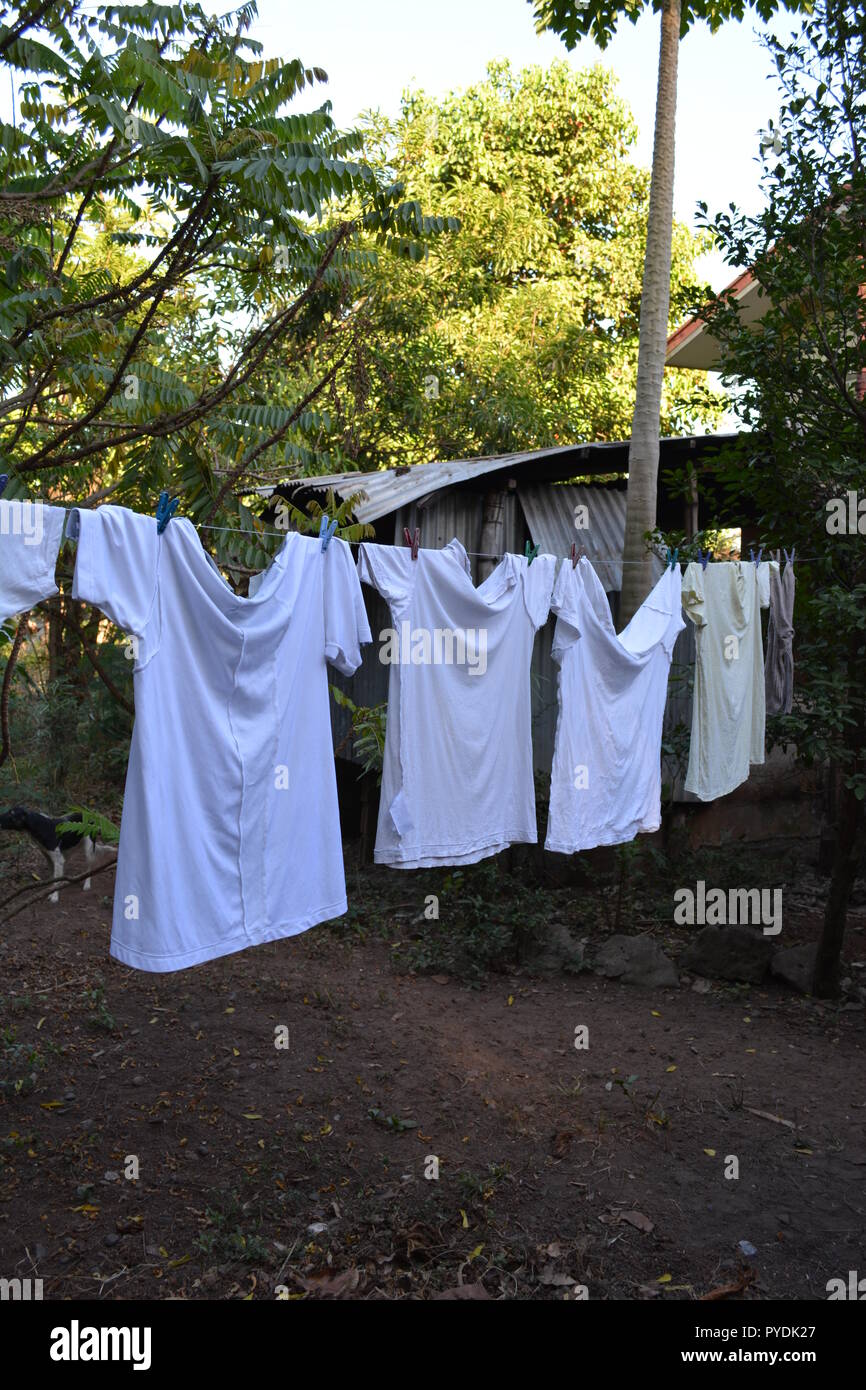 Manual washing hi-res stock photography and images - Alamy