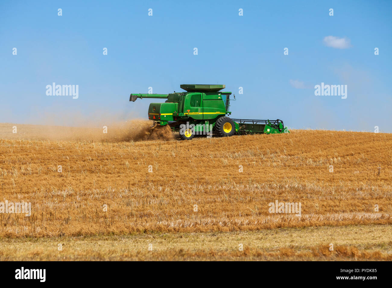 Lentil field hi-res stock photography and images - Alamy