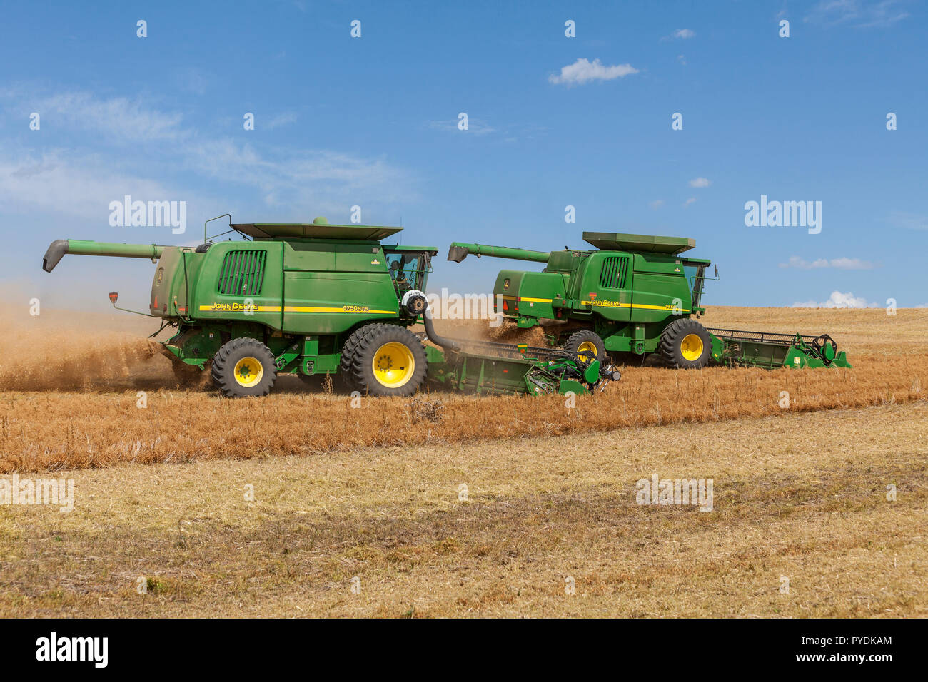 Lentil crop hi-res stock photography and images - Alamy