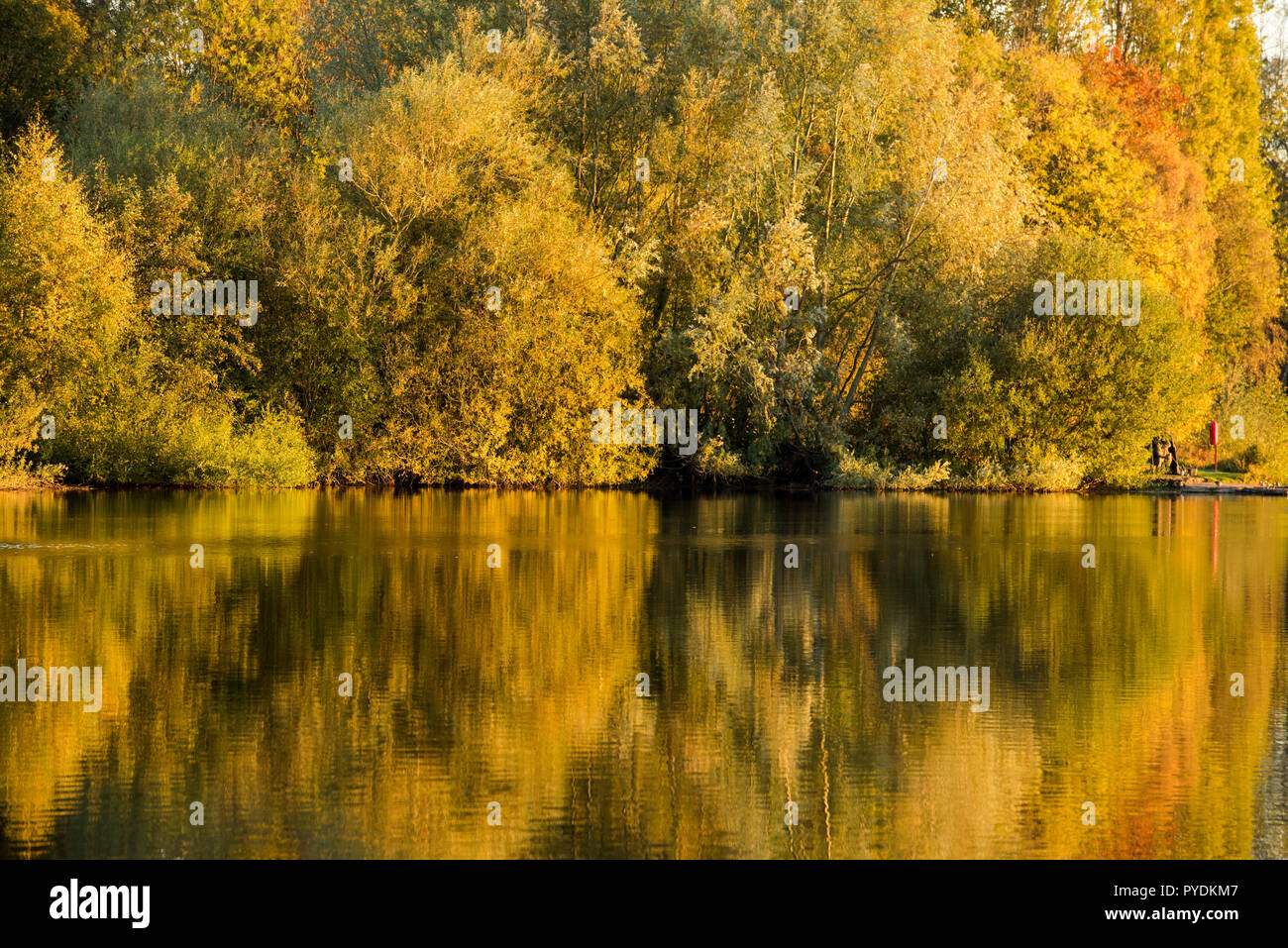 Nottinghamshire Landscape High Resolution Stock Photography and Images ...