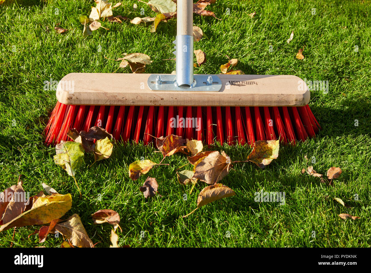 Red Brush Sweeping Leaves off Grass Autum UK Stock Photo - Alamy