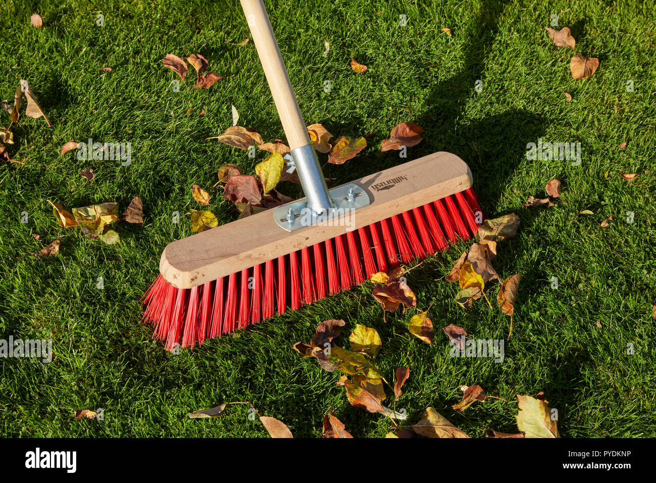 Sweeping leaves hi-res stock photography and images - Alamy