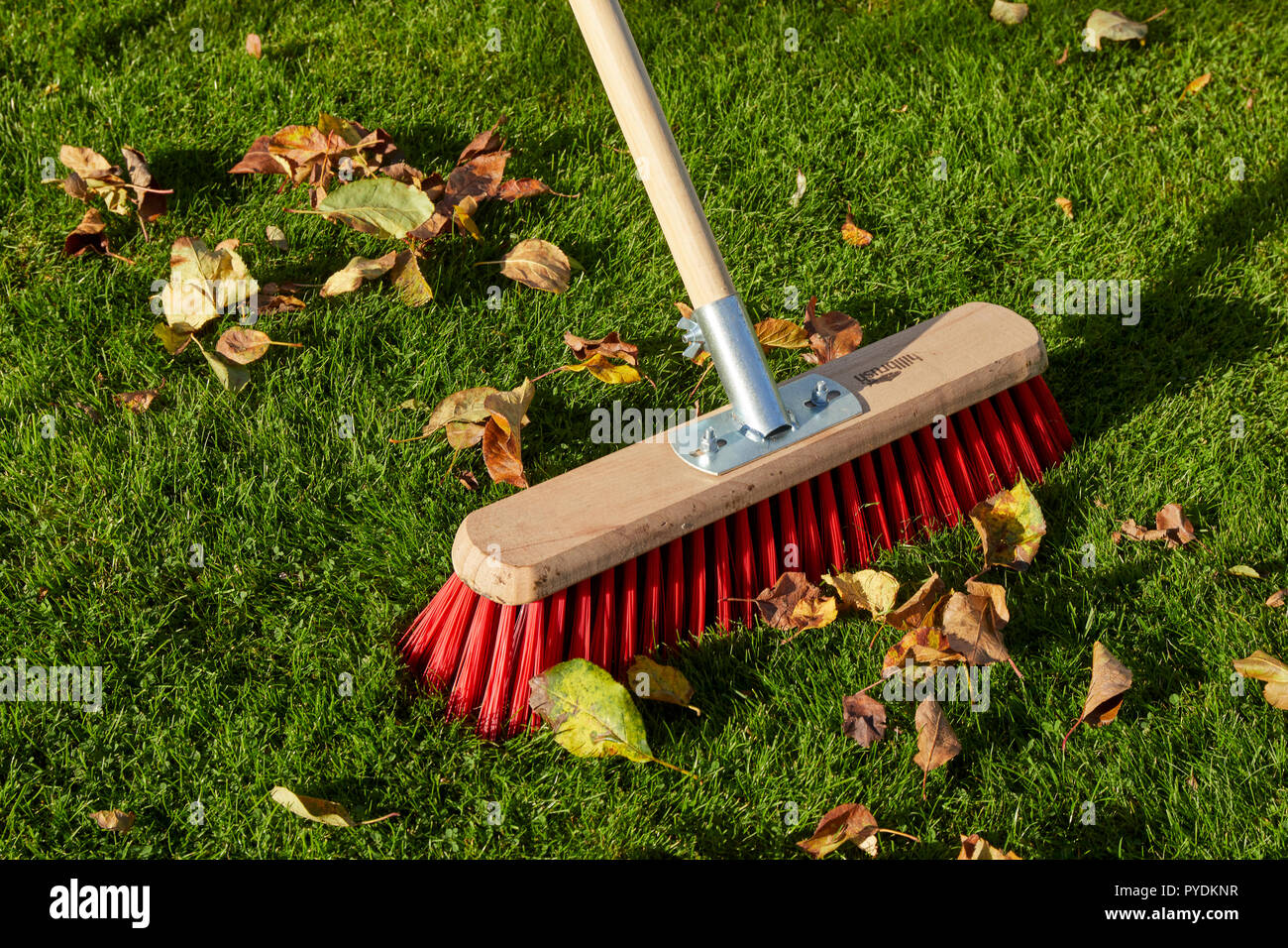 Brush with leaves hi-res stock photography and images - Alamy