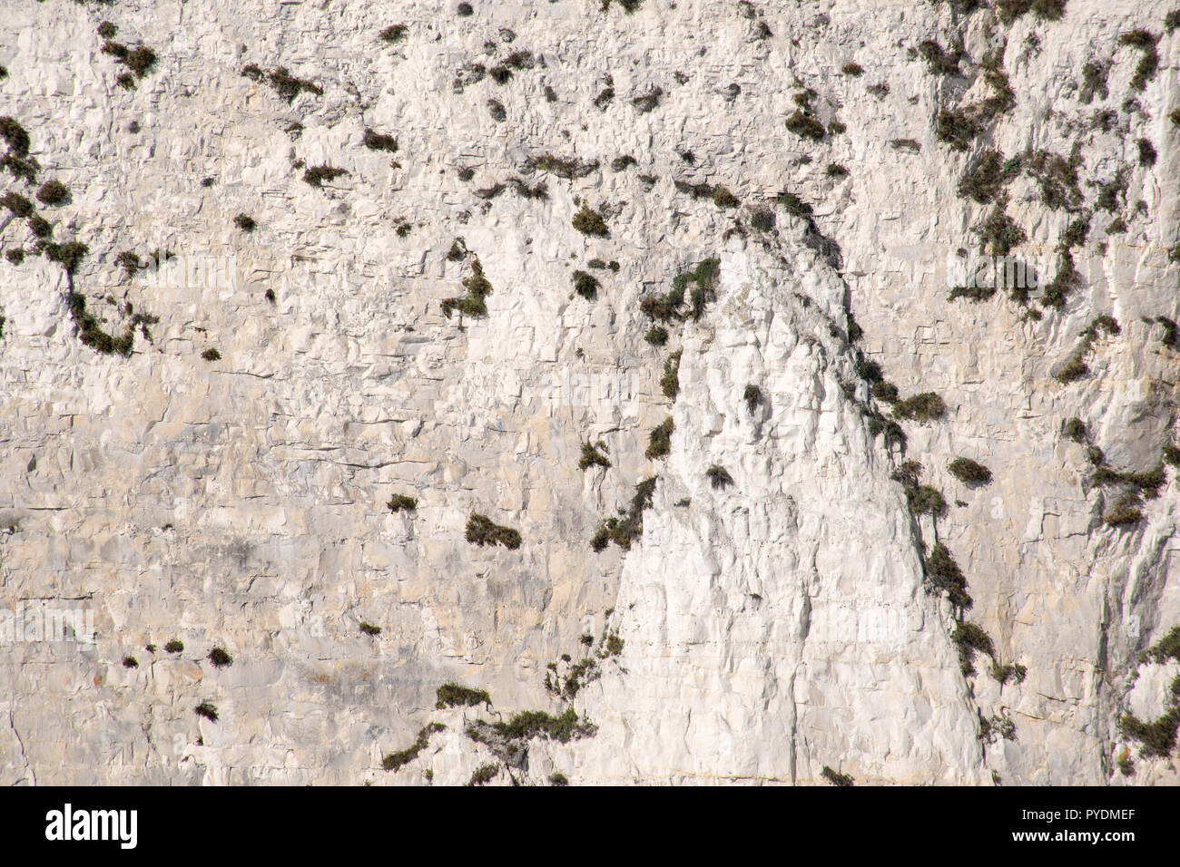 Detail of large chalk cliff face Stock Photo - Alamy