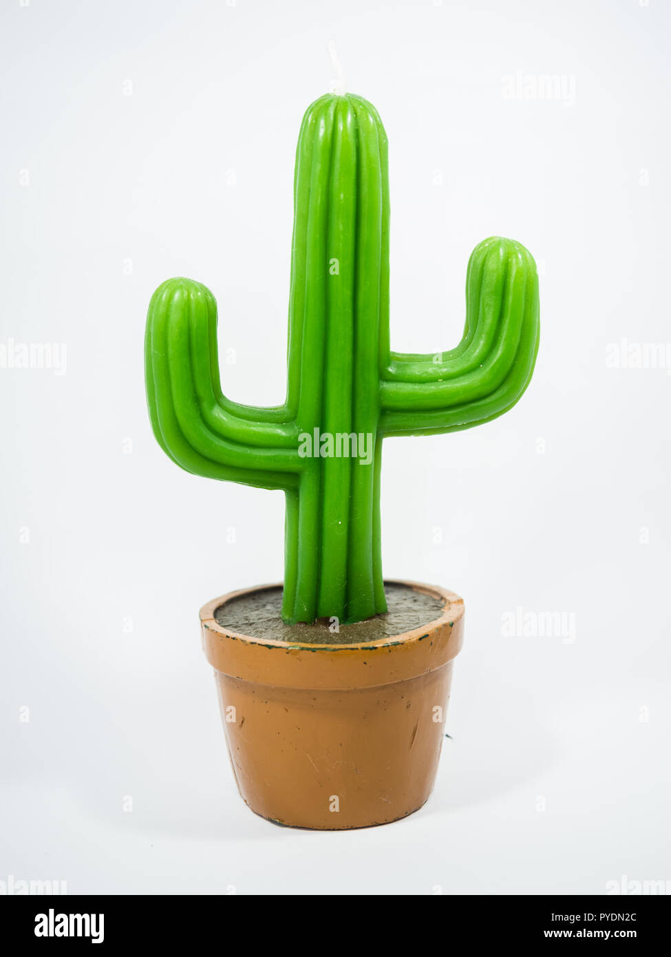 Candle cactus hi-res stock photography and images - Alamy