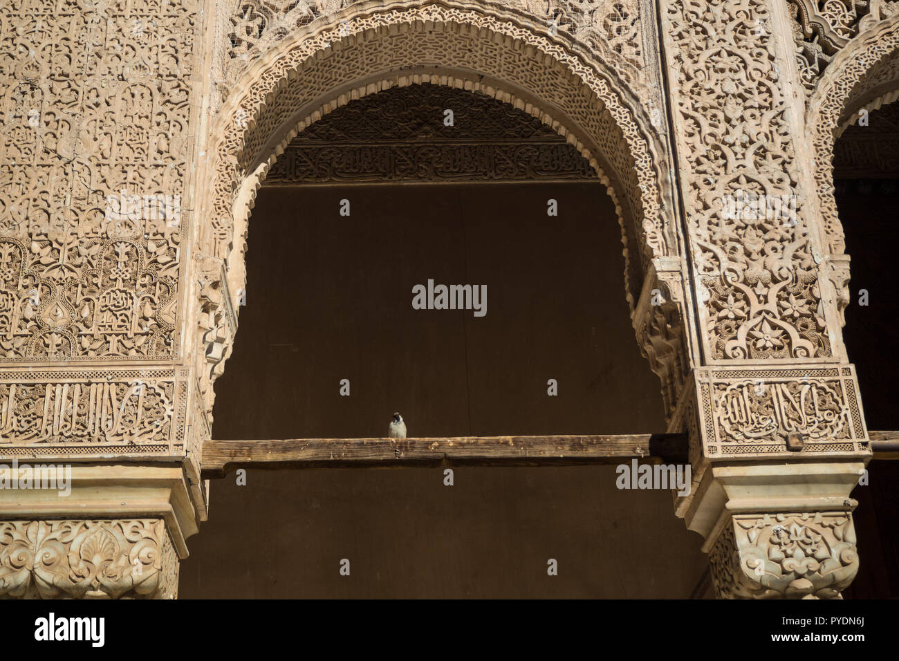 Details inside of the Alhambra, Granada. Patio de los Leones Stock ...