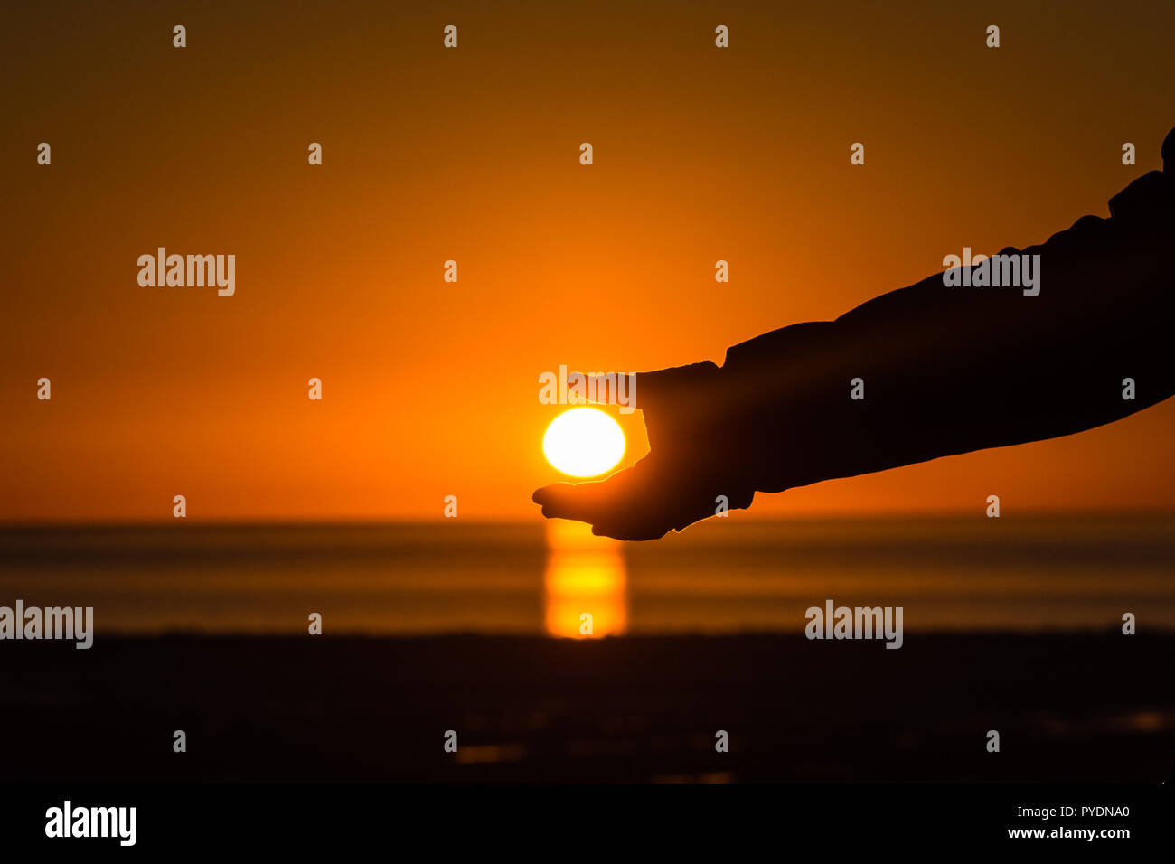 Hand catching the sun during the sunset, detail of the hand and the sun ...