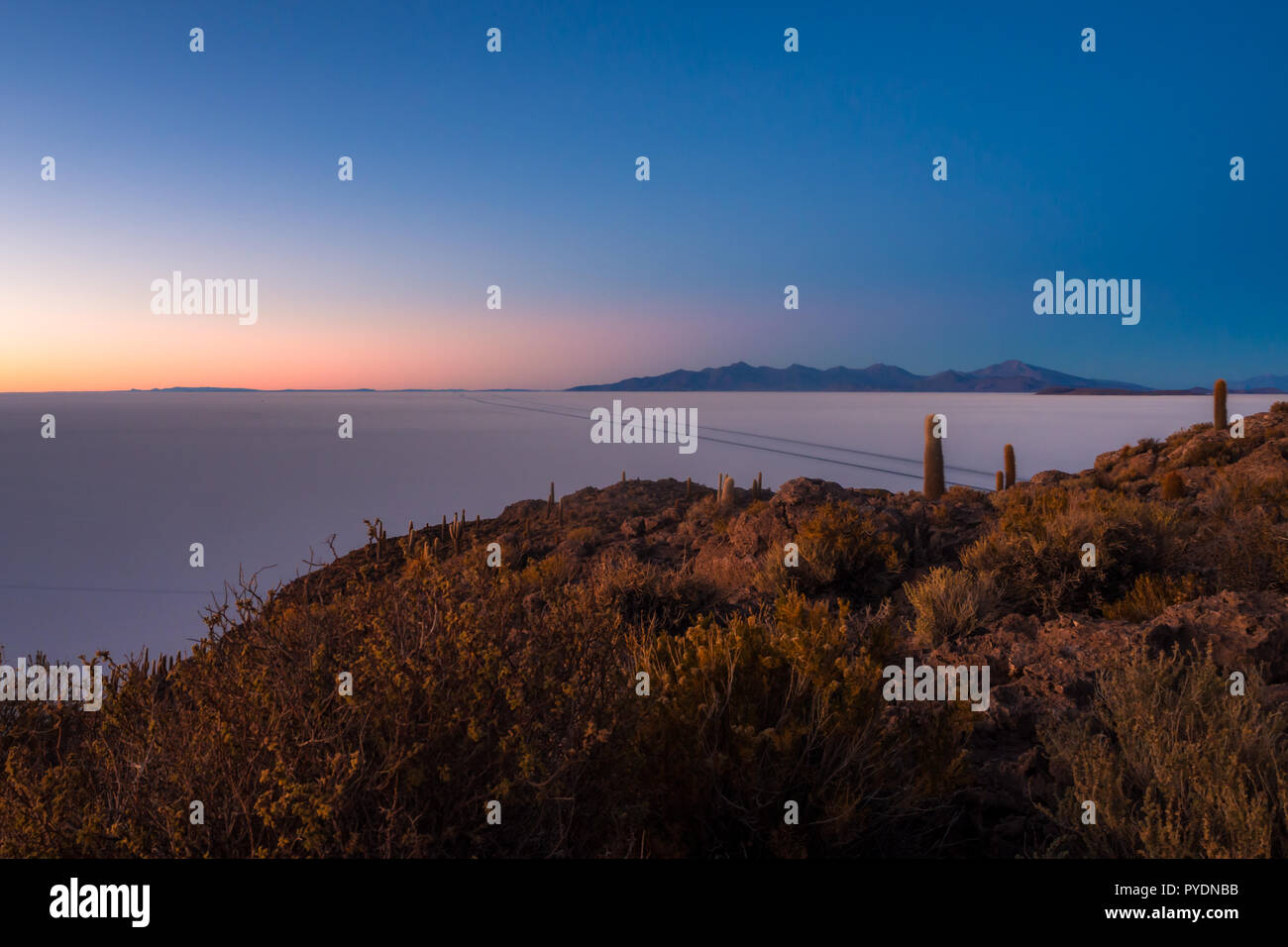 Landscape in Uyuni salt flat during the sunrise, with the road and ...