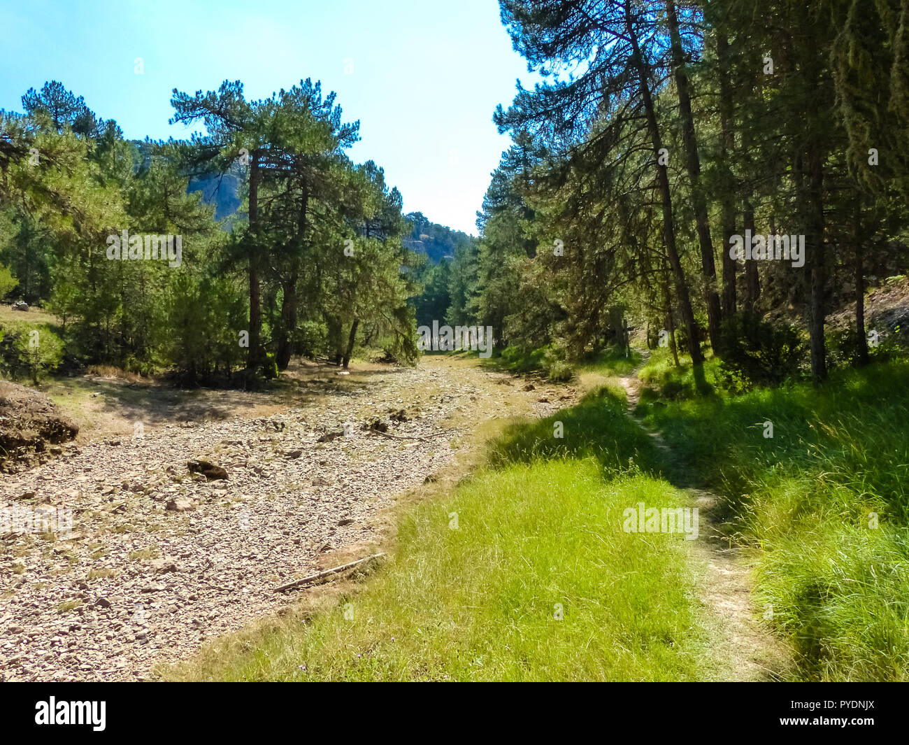 Lobos River High Resolution Stock Photography and Images - Alamy